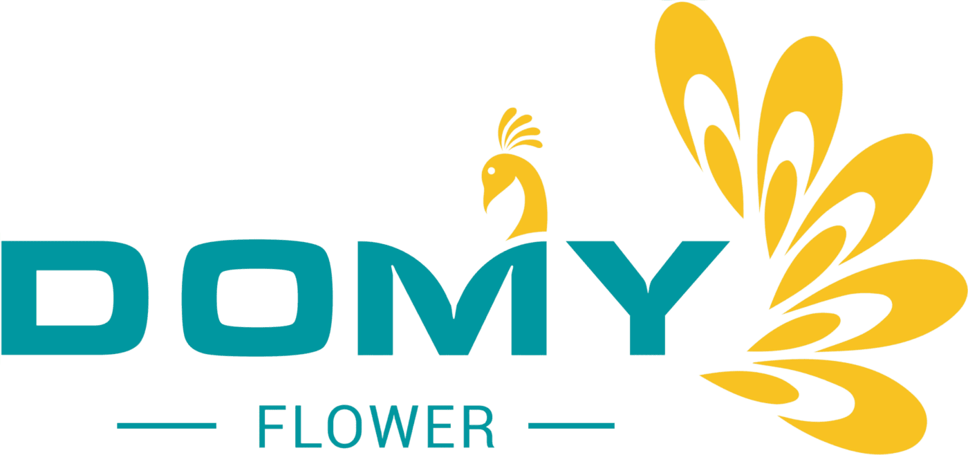 Domy Flower